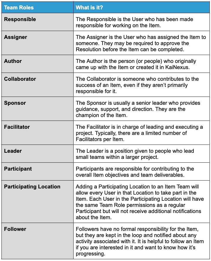 System Roles versus Team Roles